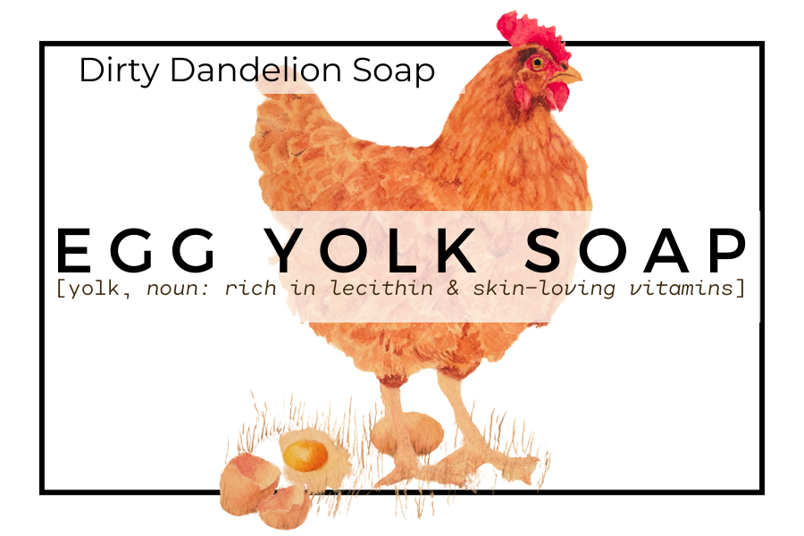Dirty Dandelion Soap - Egg Yolk Soap (Chicken Clown) - Unscented